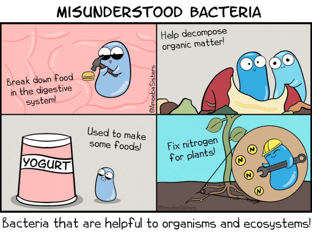 Fantastic Bacteria and What to Feed Them: A Glimpse into Rad ...