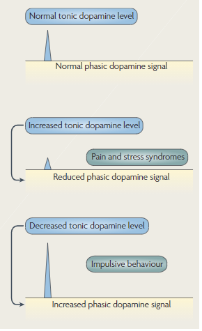 Is eternal happiness a myth? | Lions Talk Science