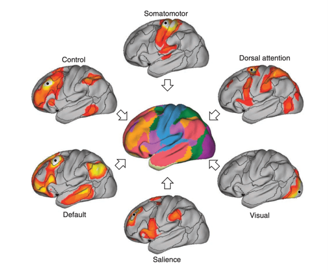 Sense and Sensitivity: How the Nervous System Transforms the ...